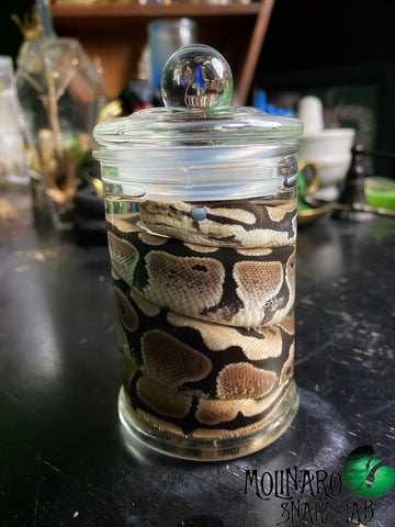 Products – The Molinaro Snake Lab