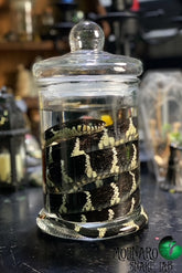 Products – The Molinaro Snake Lab