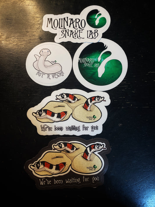 Molinaro Snake Lab Merch#N# – The Molinaro Snake Lab